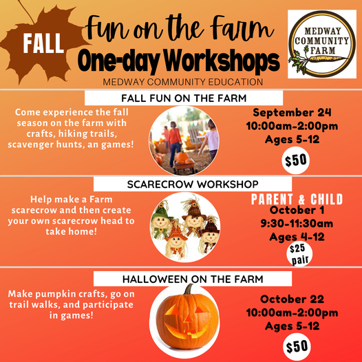 Live Feed | Medway Public Schools